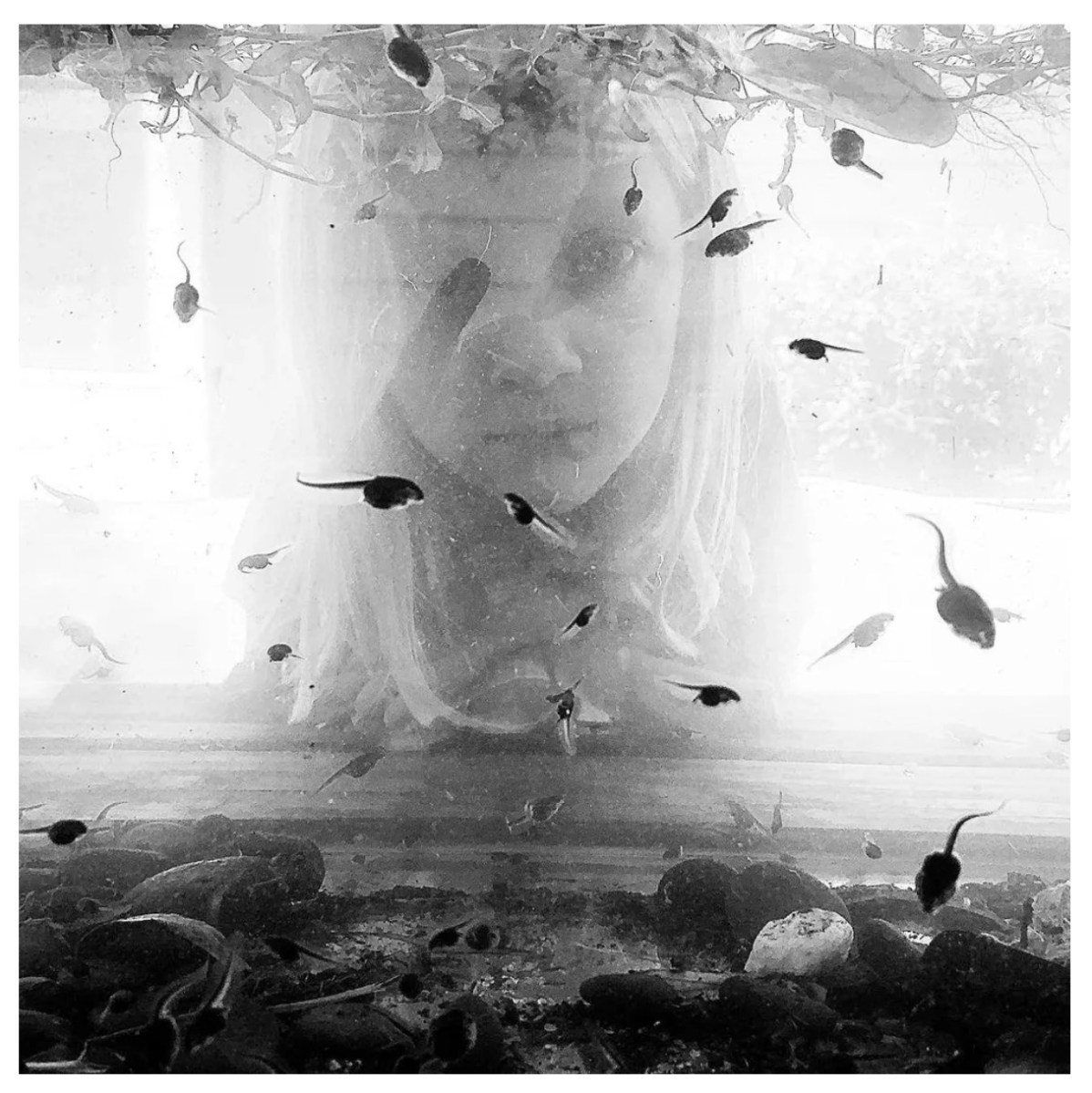 Piccolo Spoleto Juried Art Exhibition – Kristen L. Rhodes